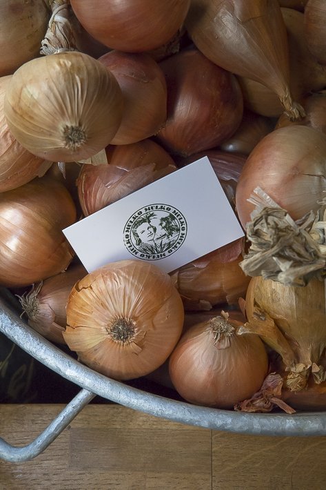 Restaurant Mulko à Paris, cuisine méditerranéenne, brunch le dimanche